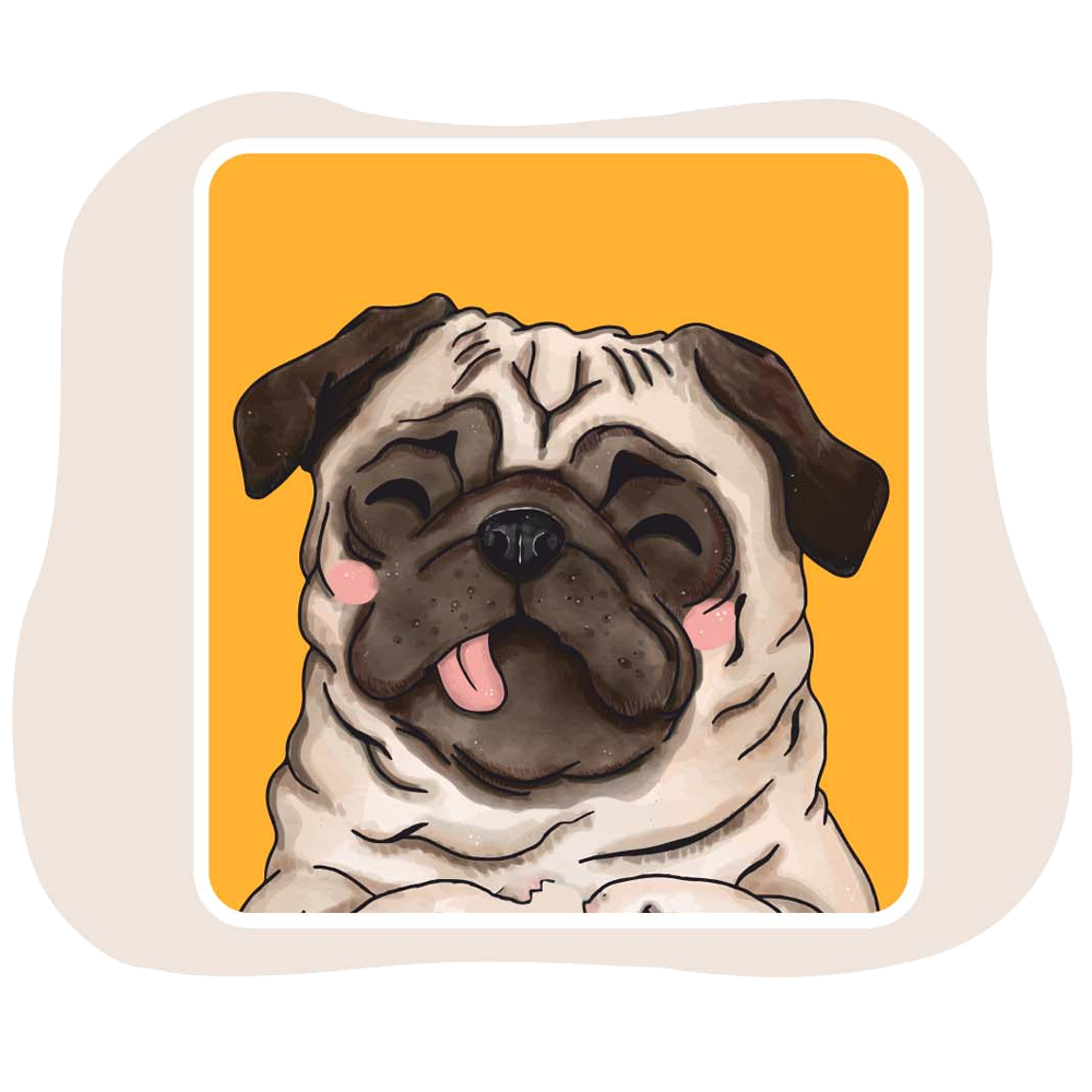 The Wonder Captain Paw Custom Pet Portrait – Noble Pawtrait